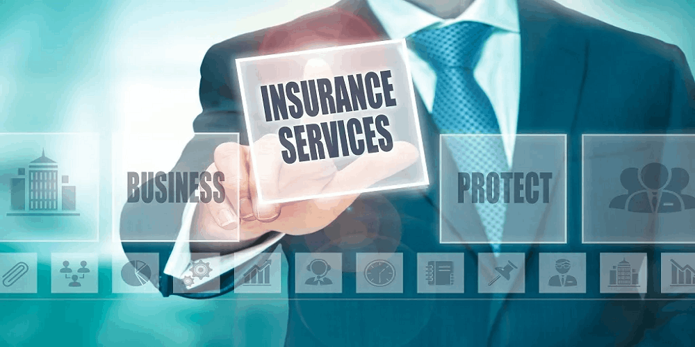 Stock Performance and Analyze Indian Companies with Screener