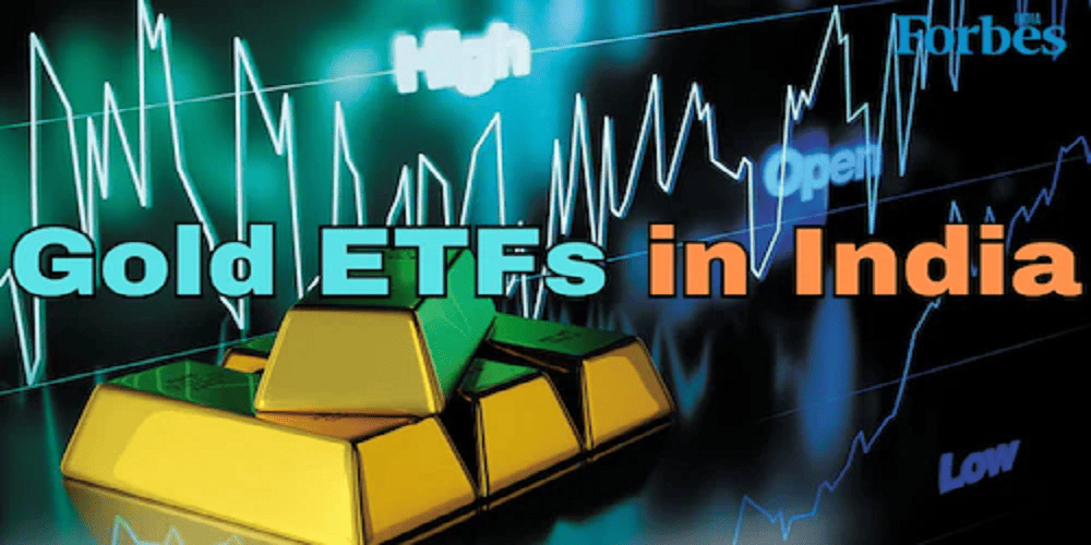 Extended Insurance Meaning | Details of Terms Insurance